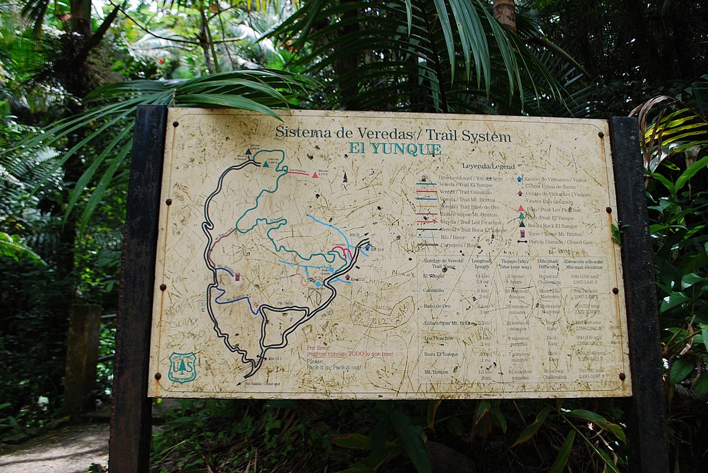 Puerto Rico’s Treasure: El Yunque National Forest – ScottQuest